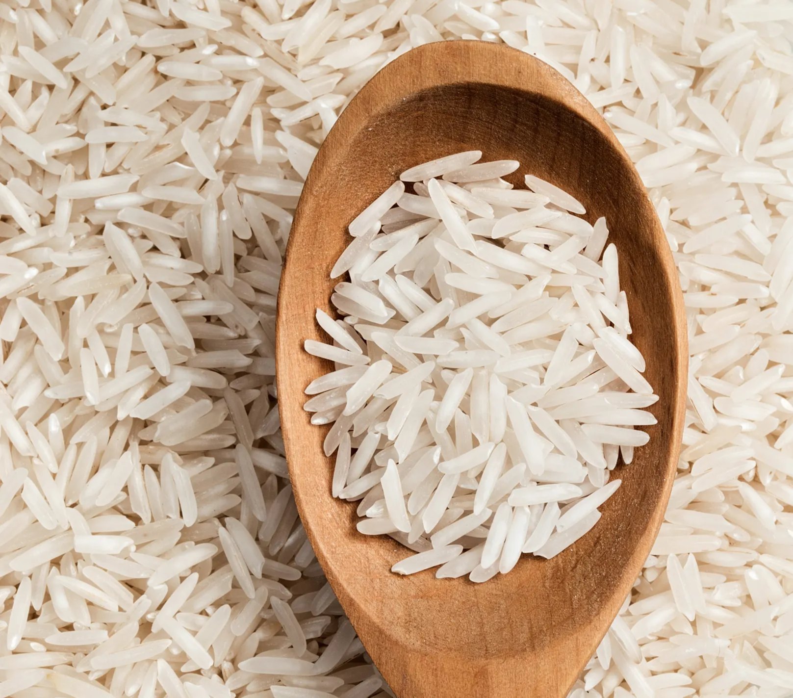 From Kala Shah Kaku to the World: The Legendary Journey of Basmati Rice ...